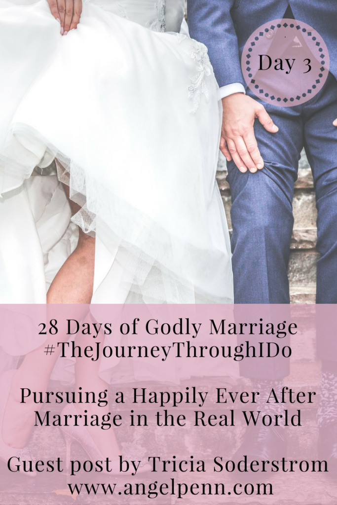 Pursuing a Happily Ever After Marriage in the Real World